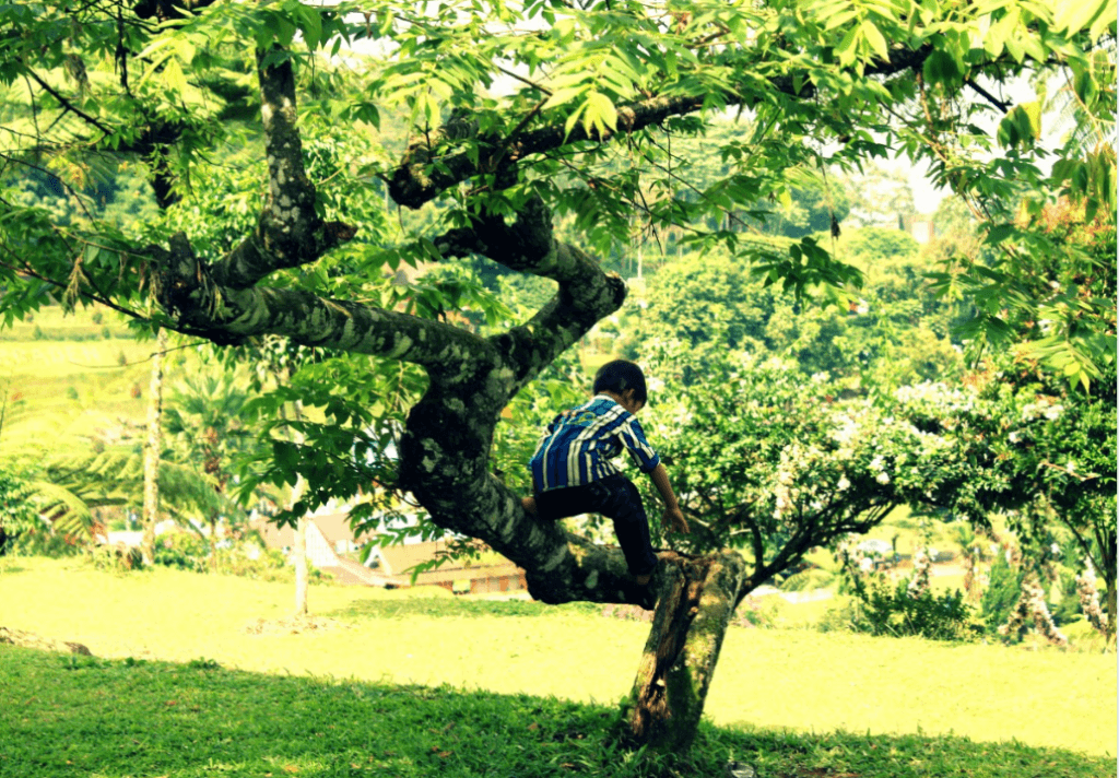 Who Is an Environmentalist?: Changing the Face of Environmentalism ...