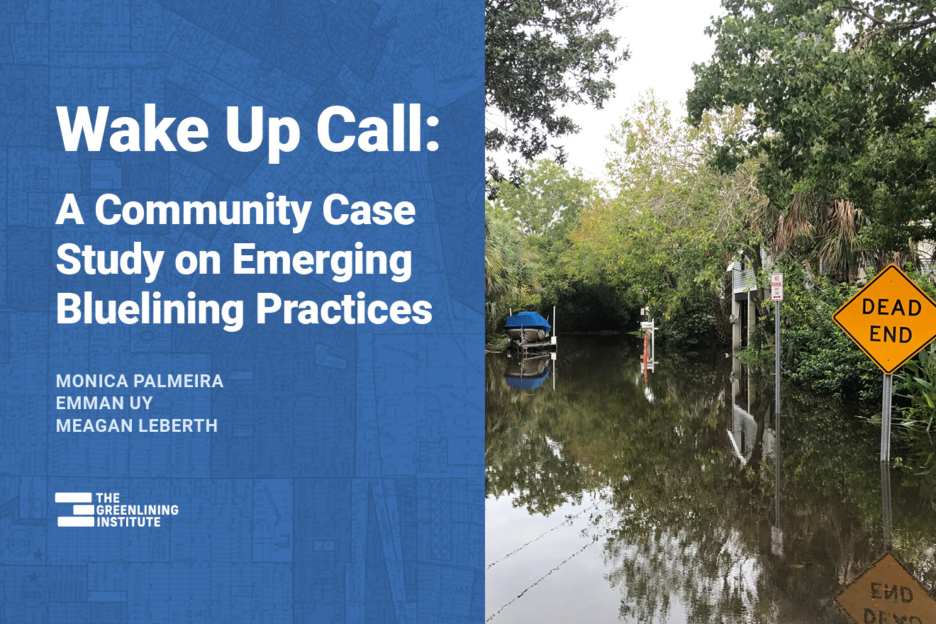 Wake Up Call: A Community Case Study on Emerging Blueining Practices